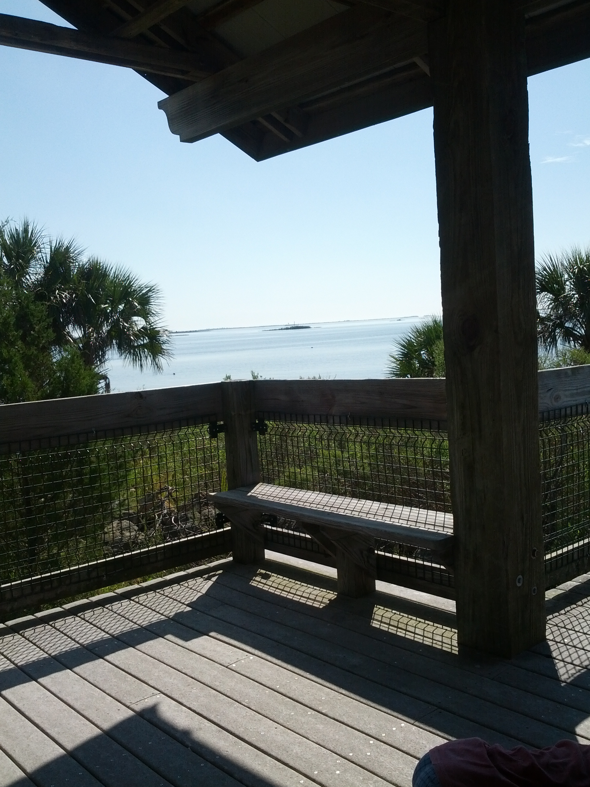 Withlacoochee Bay Trail and Felburn Park Ride – Chasing Seventies