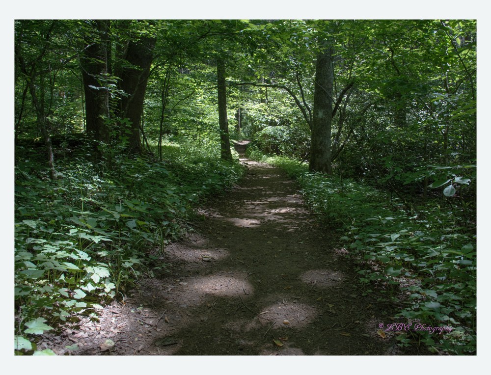 Roan Mountain Visitor Center – Chasing Seventies